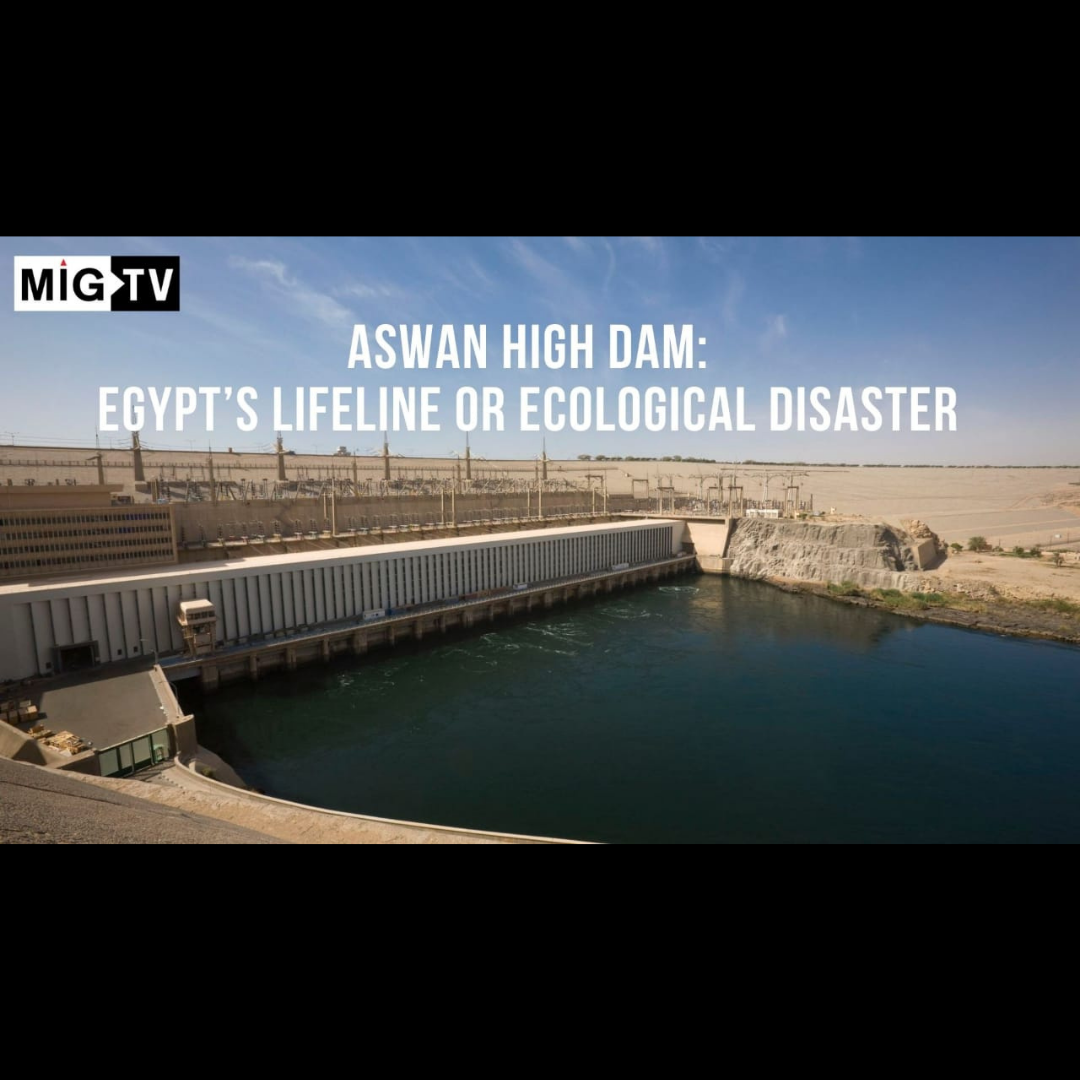 Aswan High Dam: Egypt's Lifeline or Ecological Disaster - Media India Group