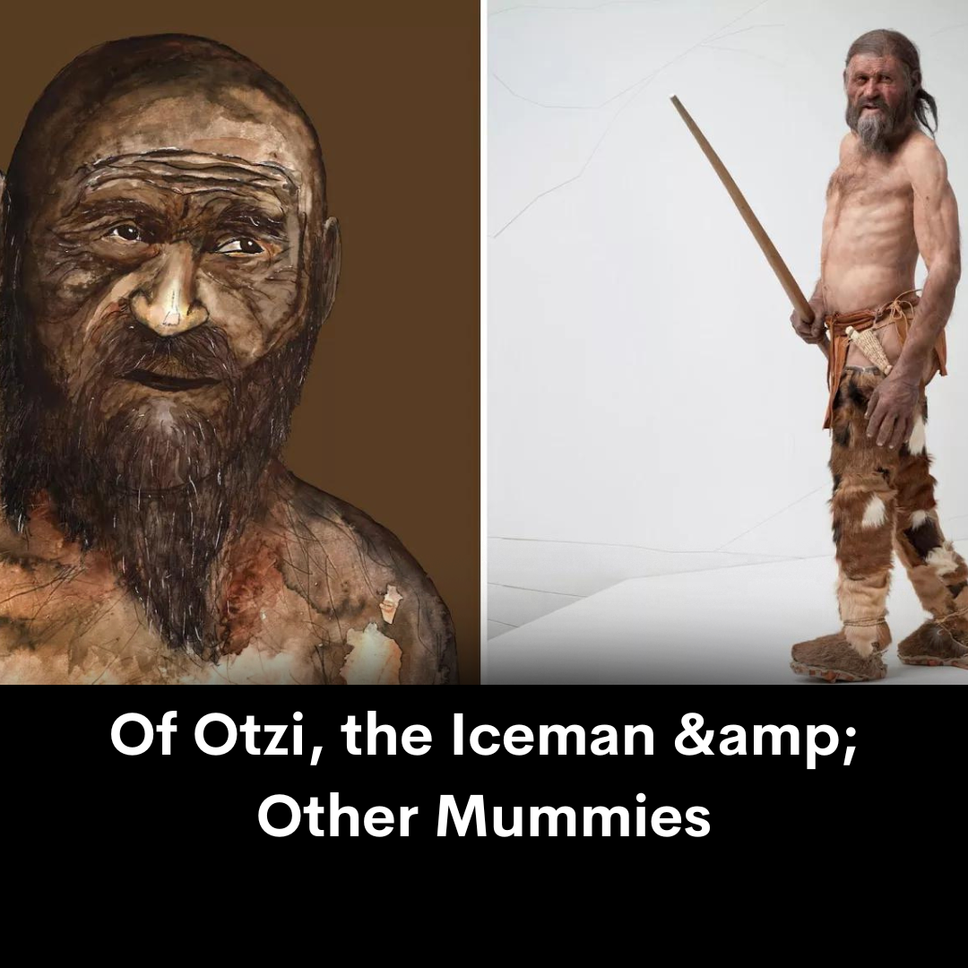Of Otzi, the Iceman & Other Mummies