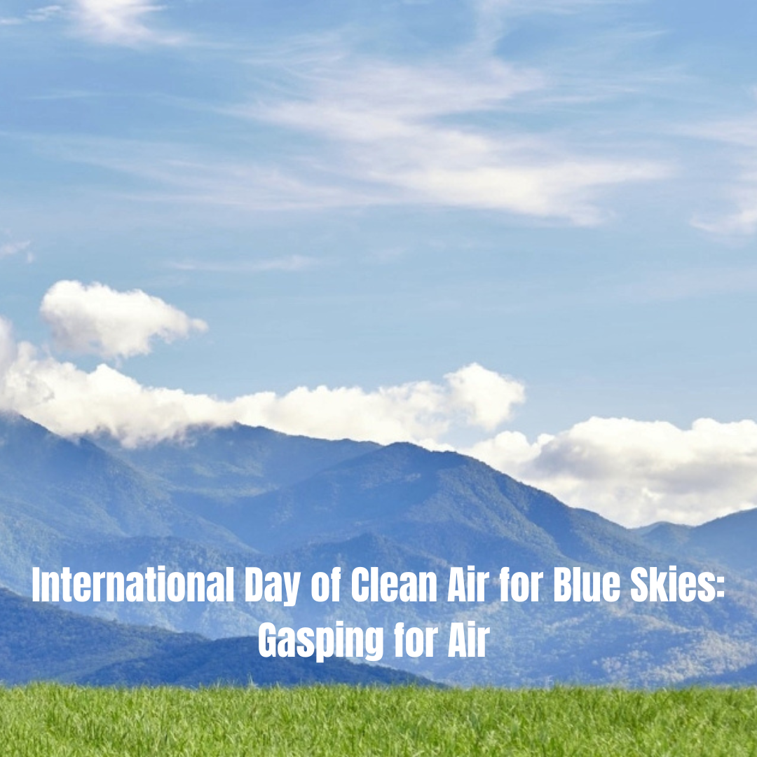International Day of Clean Air for Blue Skies: Gasping for Air