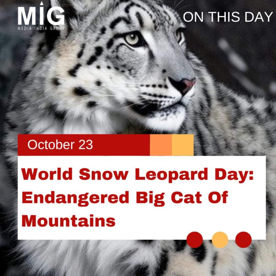 World Snow Leopard Day: Endangered Big Cat of Mountains - Media India Group